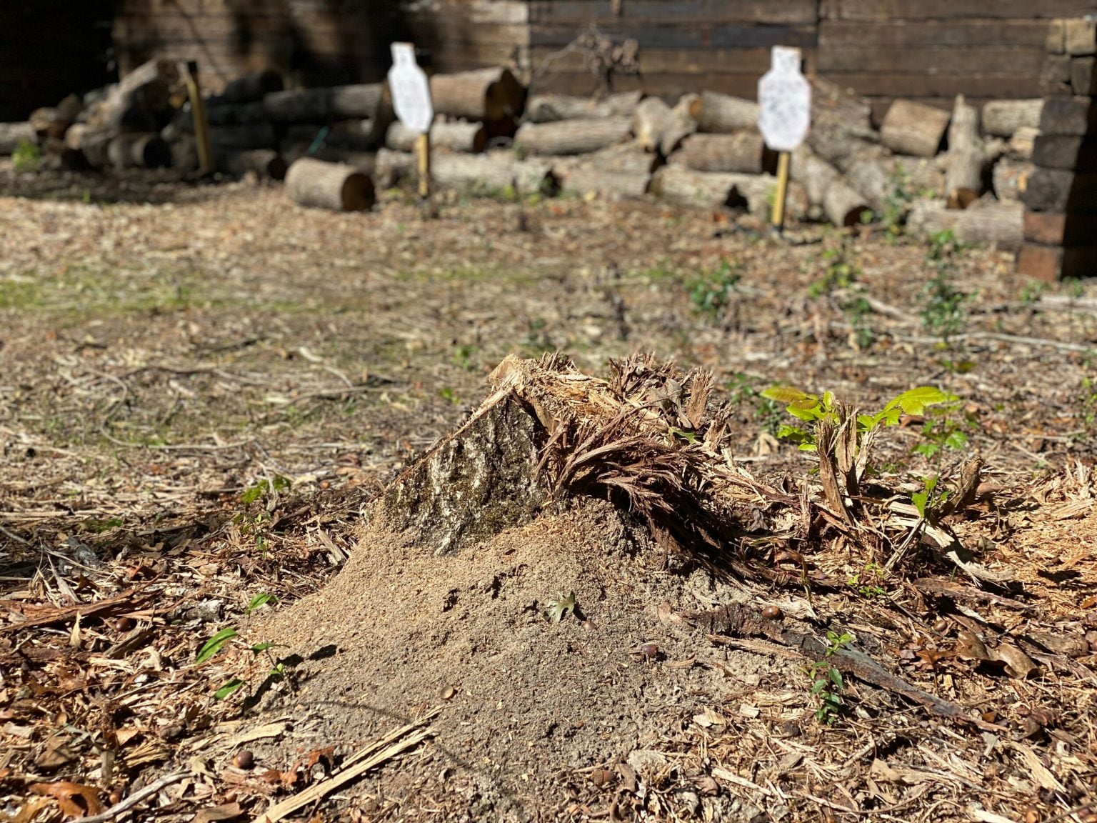 What does stump grinding look like? - Full Circle Grinding