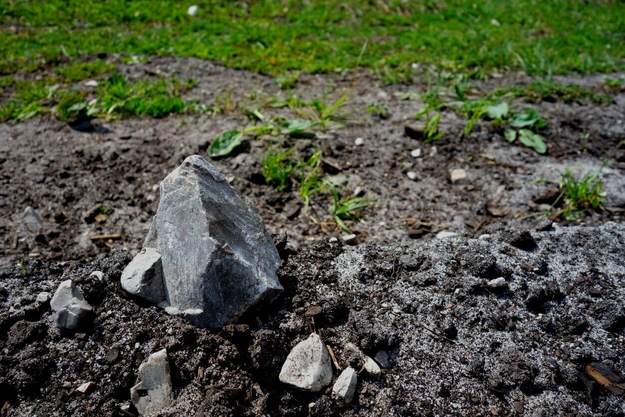 What does stump grinding look like? - Full Circle Grinding