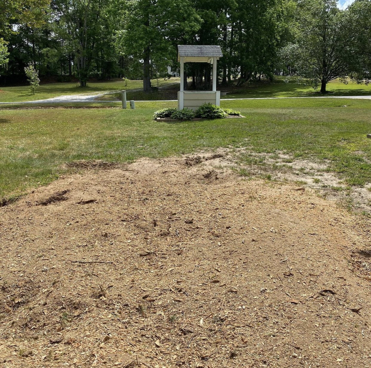 The Root of the Problem - Tree Root Grinding - Full Circle Grinding