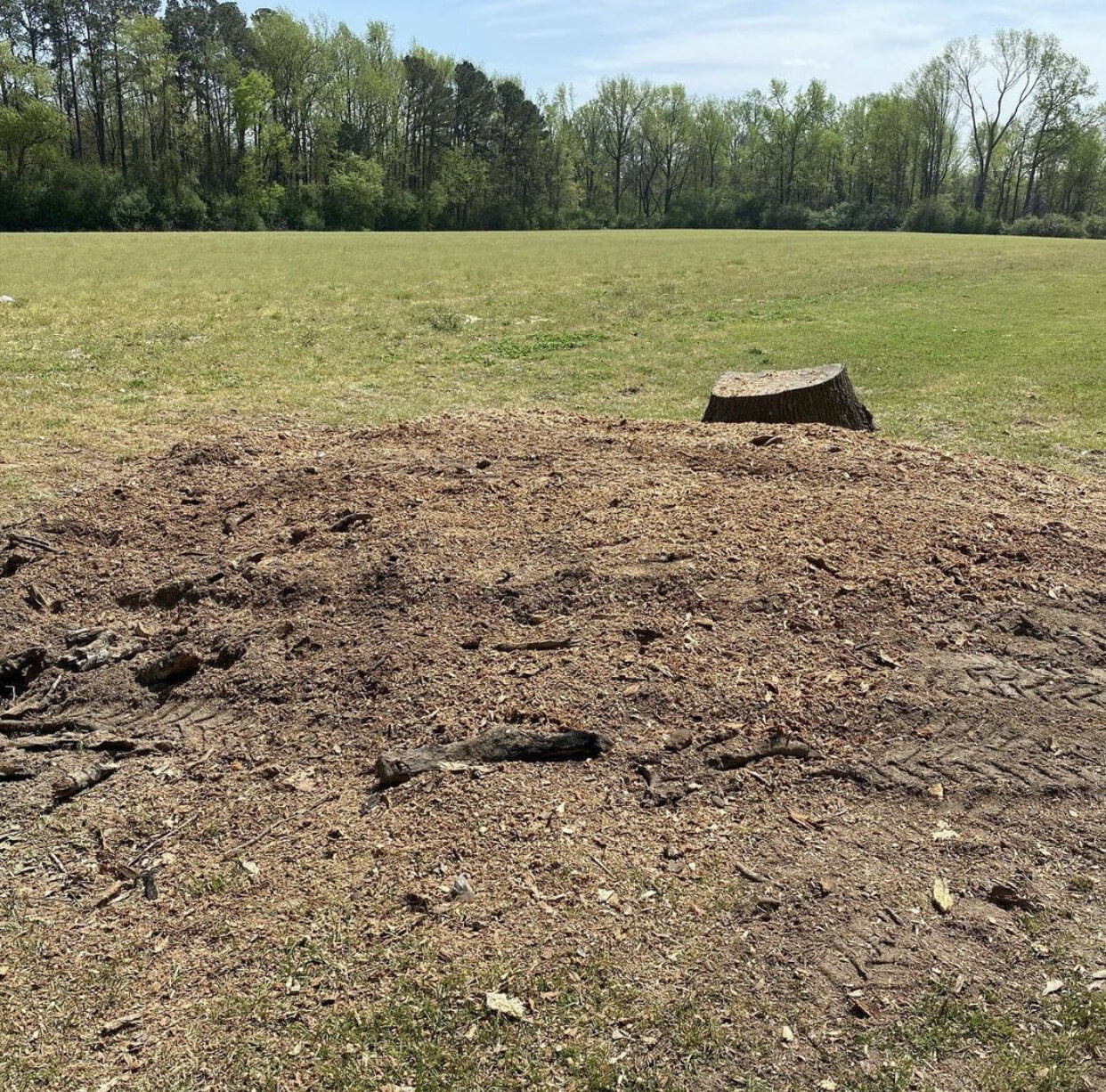 Grinding Massive Stumps in Dunn NC - Huge Stumps Ground in Dunn, NC